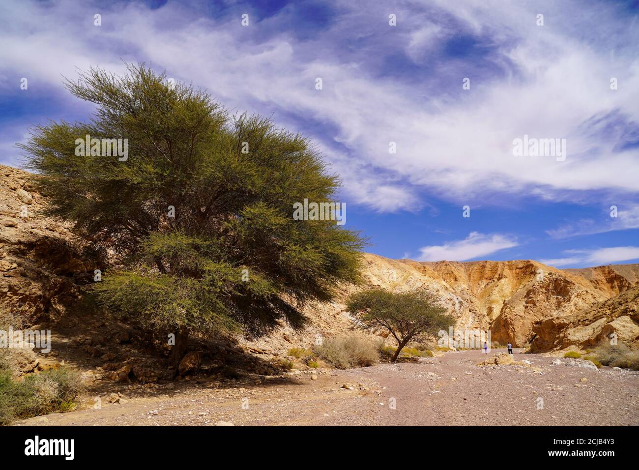 Dry arid conditions hi-res stock photography and images - Alamy