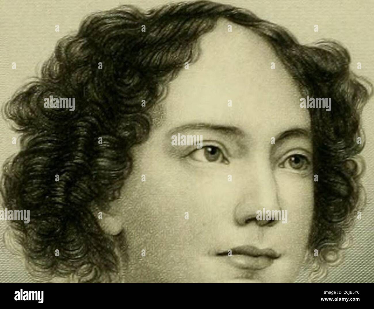 . A military genius. Life of Anna Ella Carroll, of Maryland ("the great ...