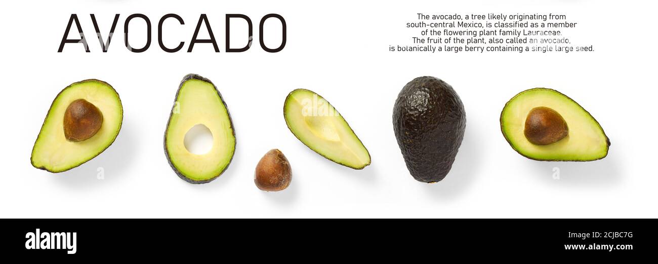 Modern creative avocado collage with simple text on solid color ...