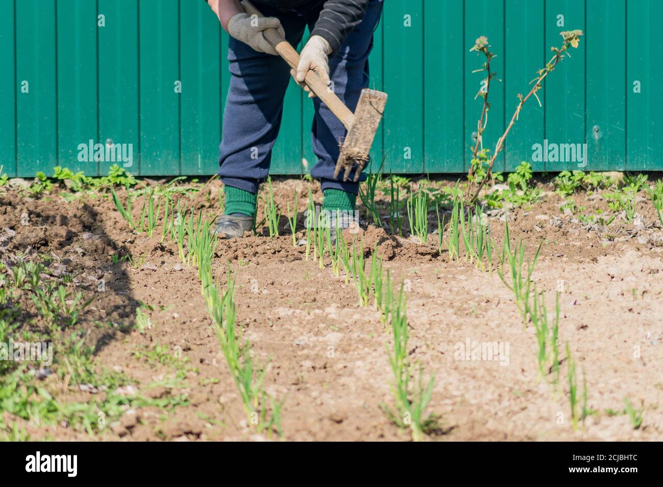 Farmer using hoe hand tool hi-res stock photography and images - Alamy