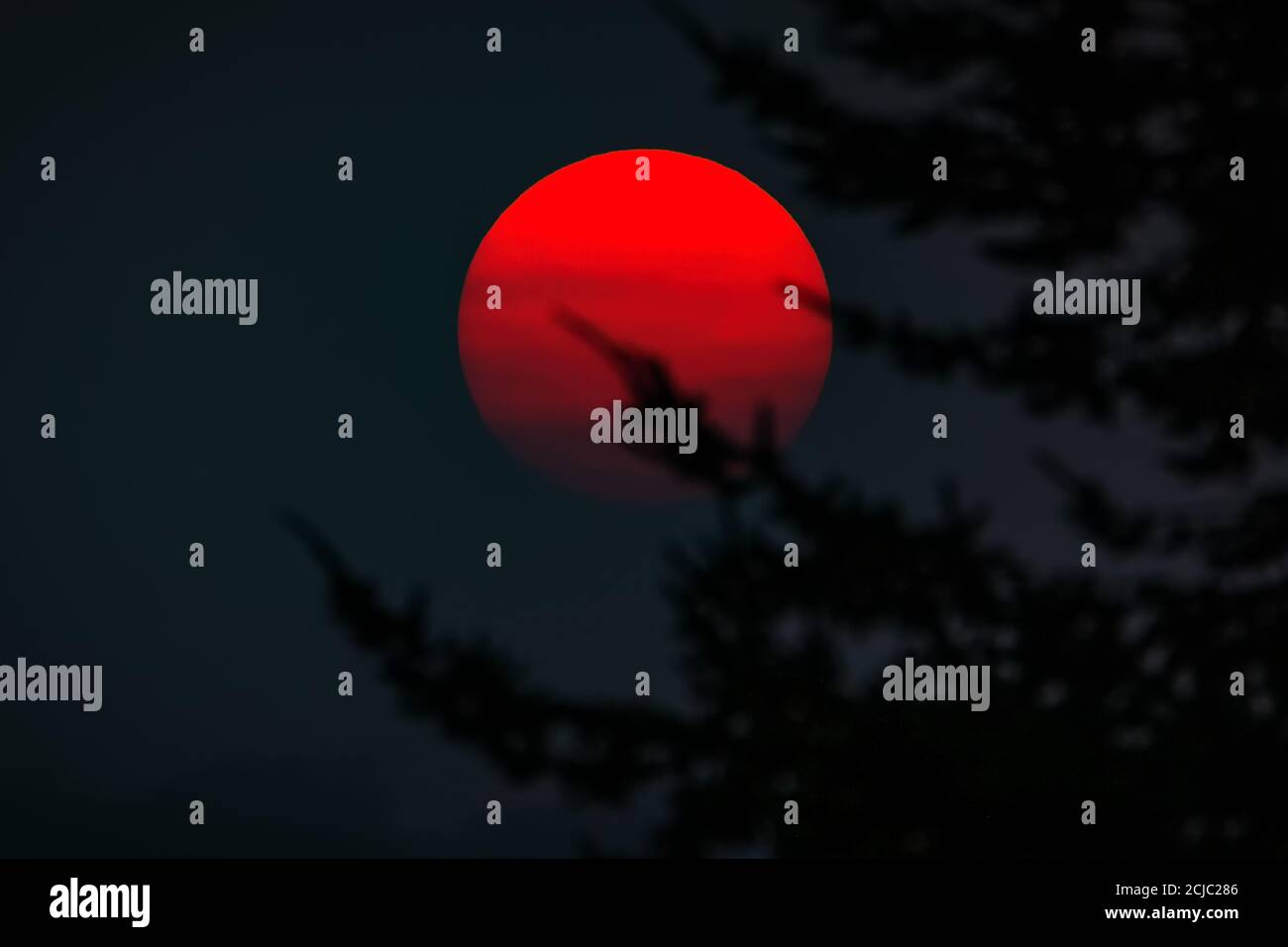 Wildfire smoke obscuring the sun at sunset Stock Photo - Alamy