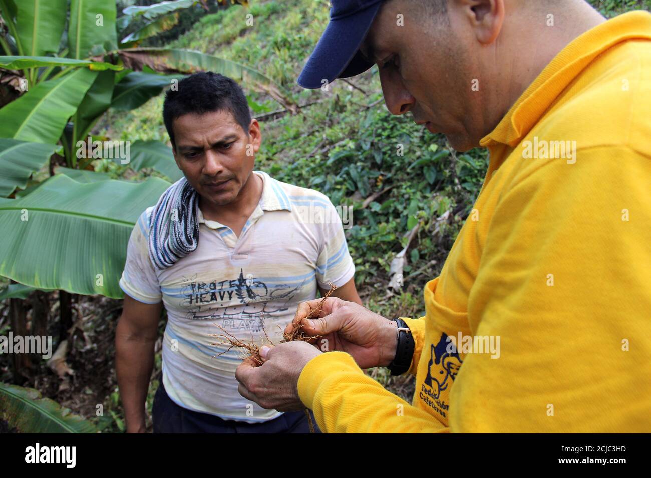 Fnc colombia hi-res stock photography and images - Alamy