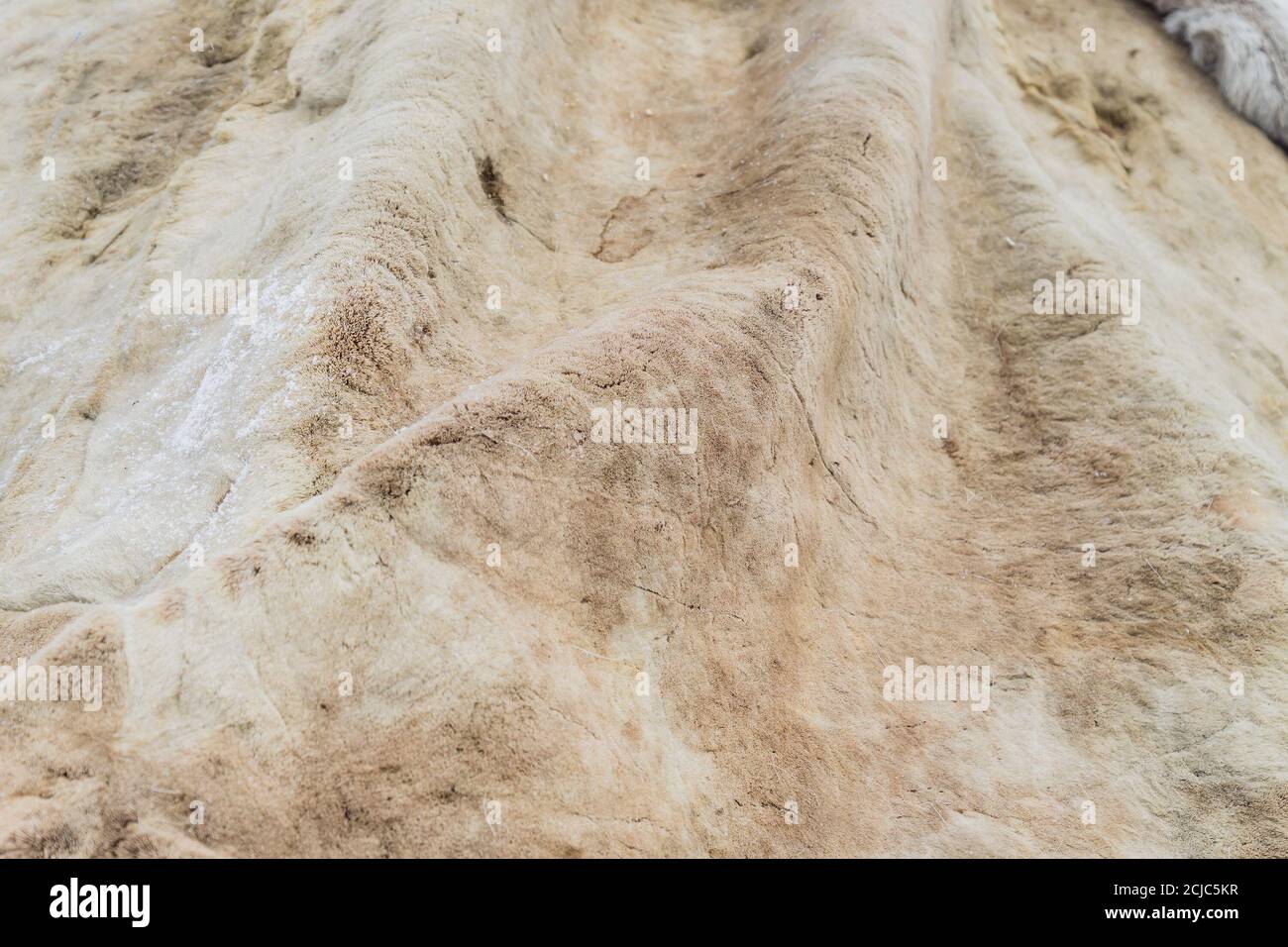 deer skin background texture, seamless pattern for design Stock Photo ...