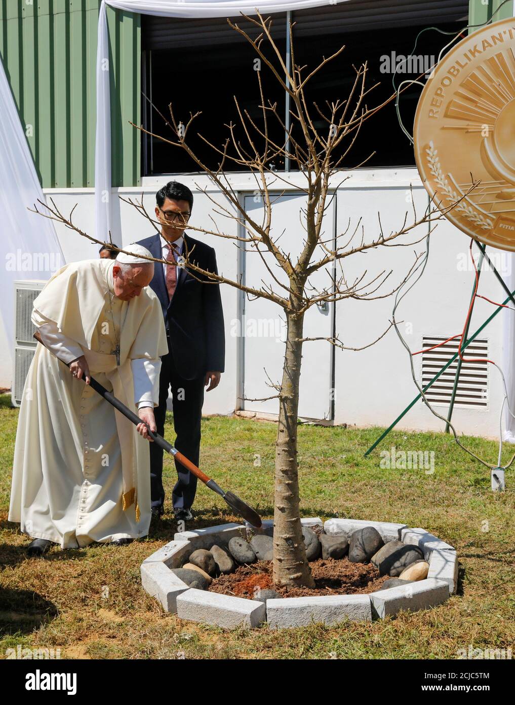 Madagascar tree planting hi-res stock photography and images - Alamy