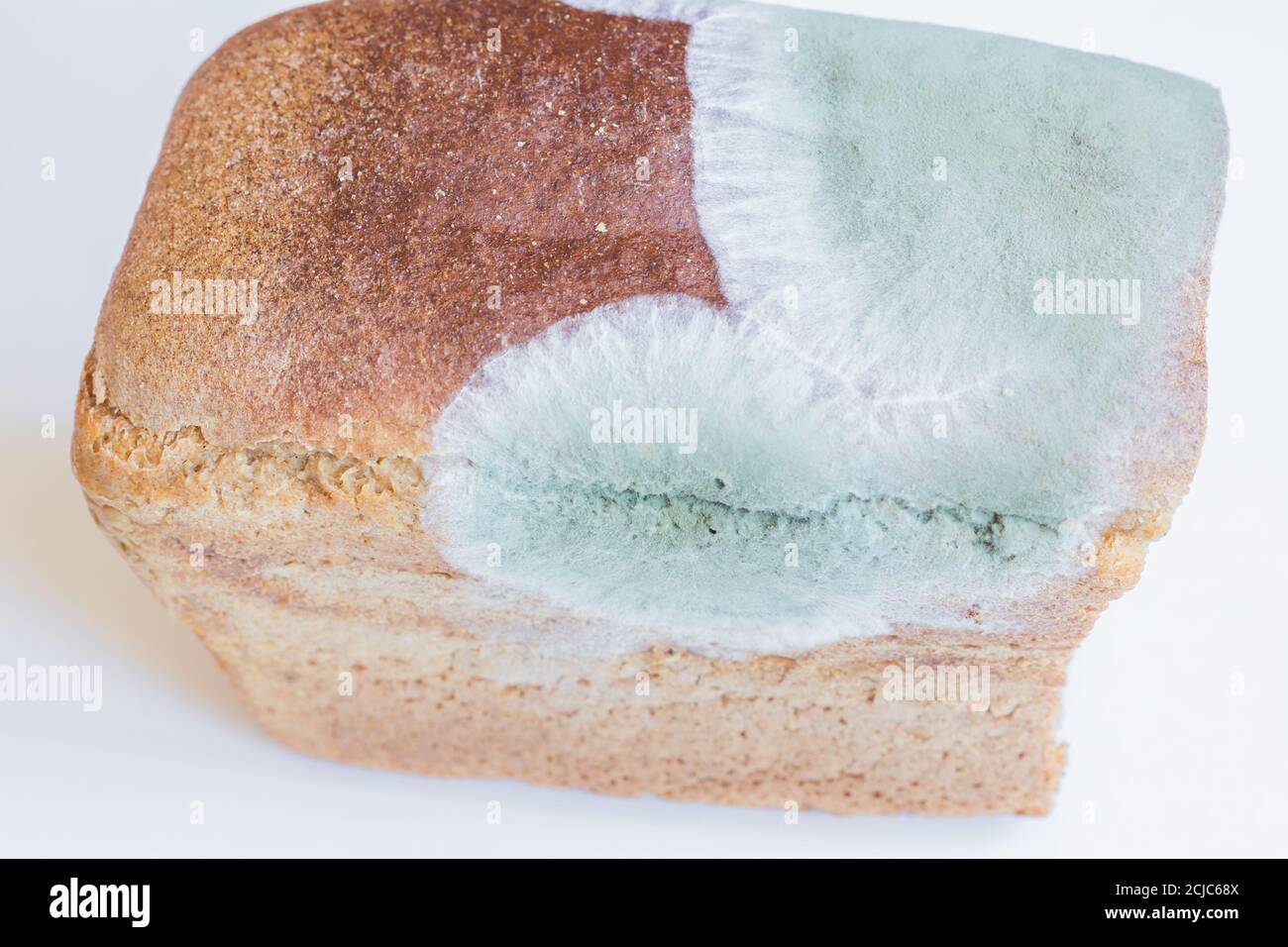Moldy uneatable spoiled food. Mold on rye bread on white background ...