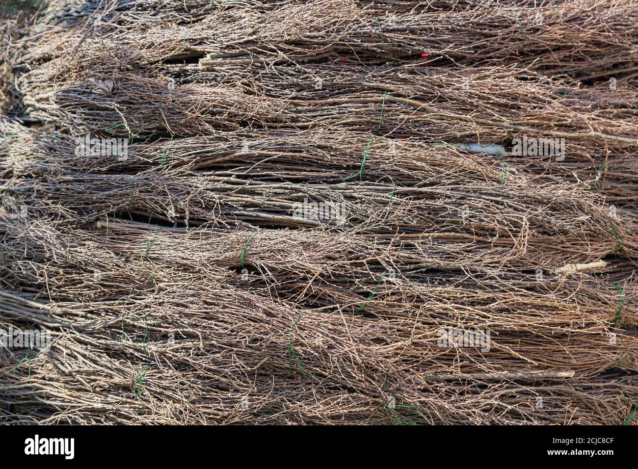 natural background of thin dry twigs. Wicker fence texture Stock Photo ...