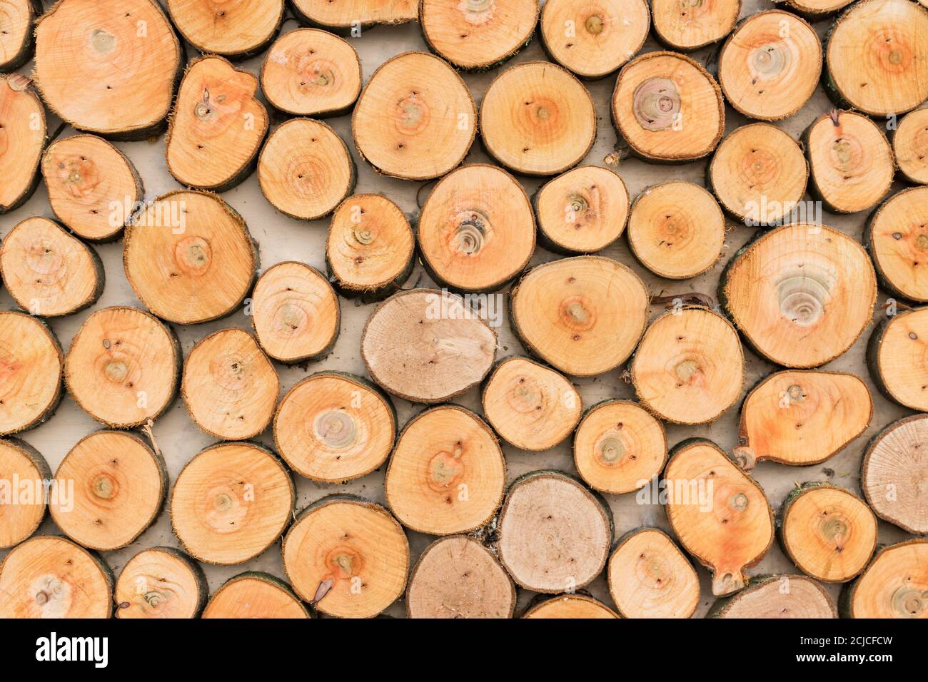 Wooden texture background. Many round woods Stock Photo - Alamy