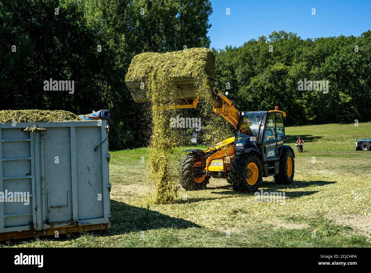 Laguepie, France 25.08.2020 Preparing sorghum silage for cattle feeding ...