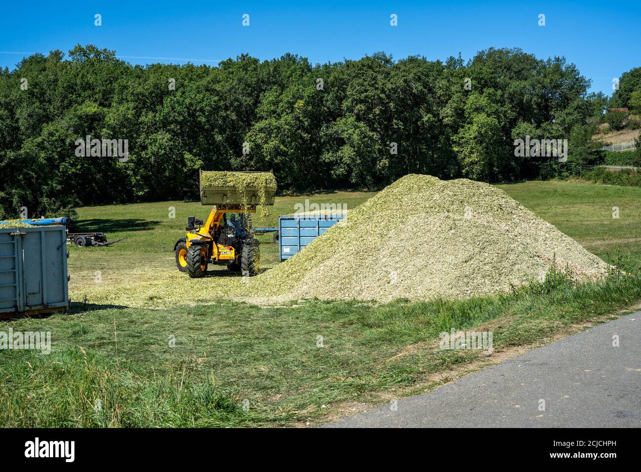 Laguepie, France 25.08.2020 Preparing sorghum silage for cattle feeding ...