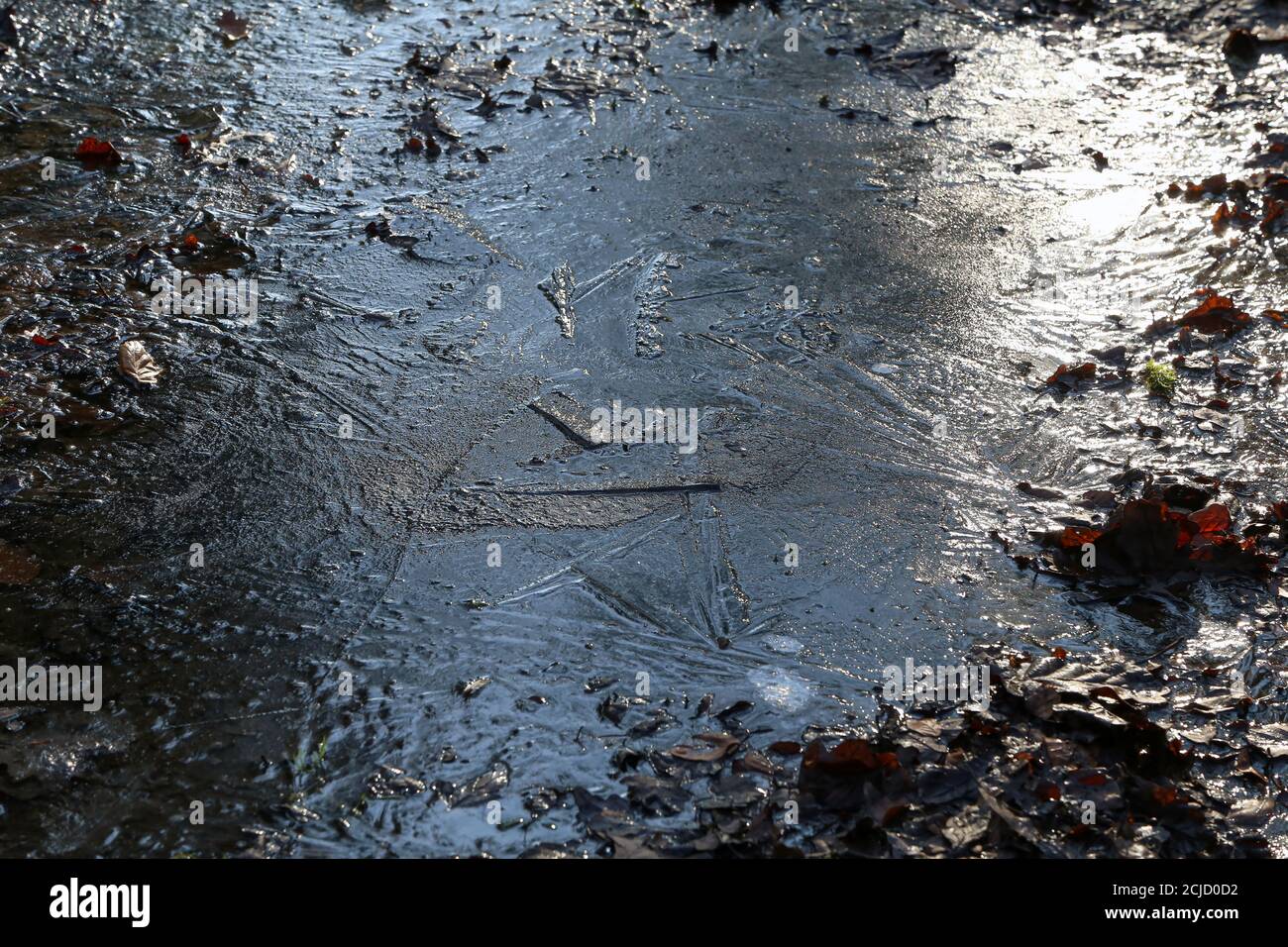 Closeup shot frozen puddle hi-res stock photography and images - Alamy