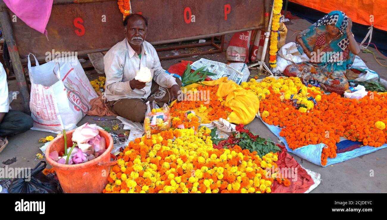 Cabbage salesman hi-res stock photography and images - Alamy
