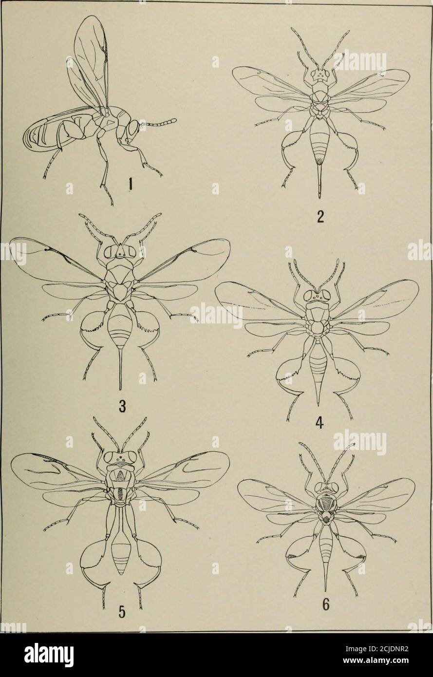 Fort Willem High Resolution Stock Photography and Images - Alamy