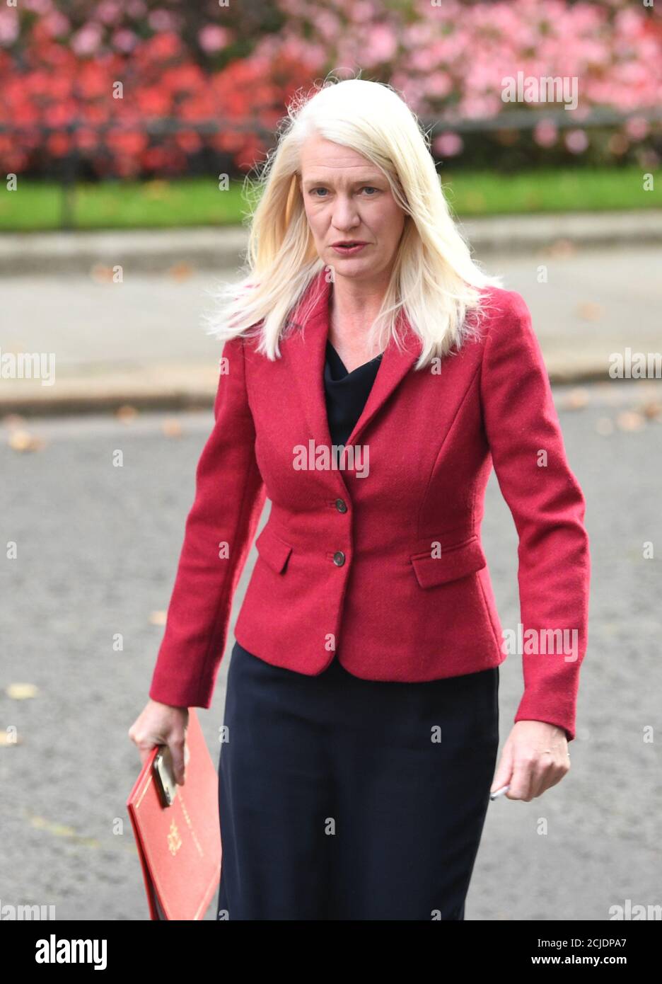 Conservative Party Chairwoman Amanda Milling arrives in Downing Street ...