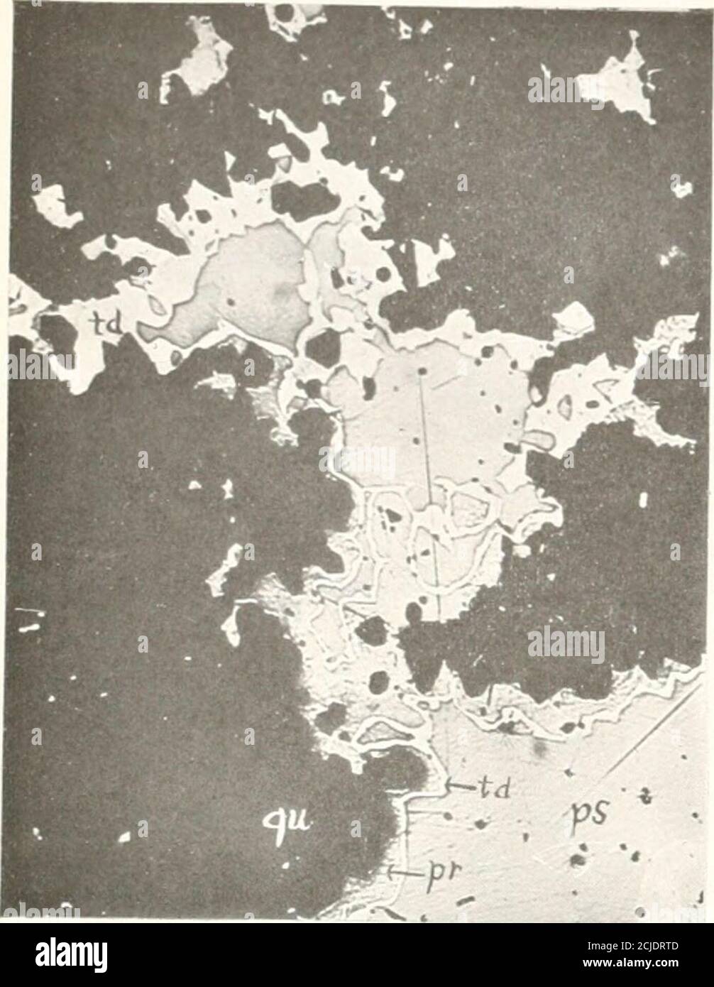 . A microscopic study of the silver ores and their associated minerals ...