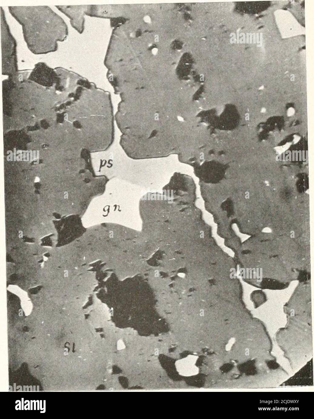 . A microscopic study of the silver ores and their associated minerals ...