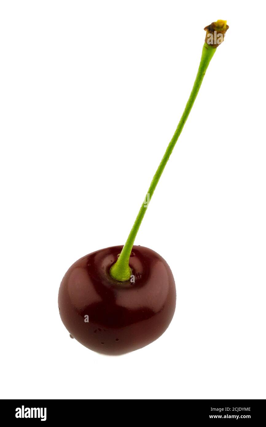 one ripe red cherry berry isolated on the white background Stock Photo ...