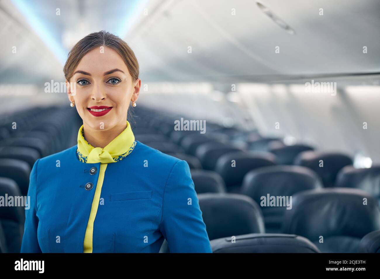 Beautiful charming stewardess dressed in official uniform Stock Photo ...