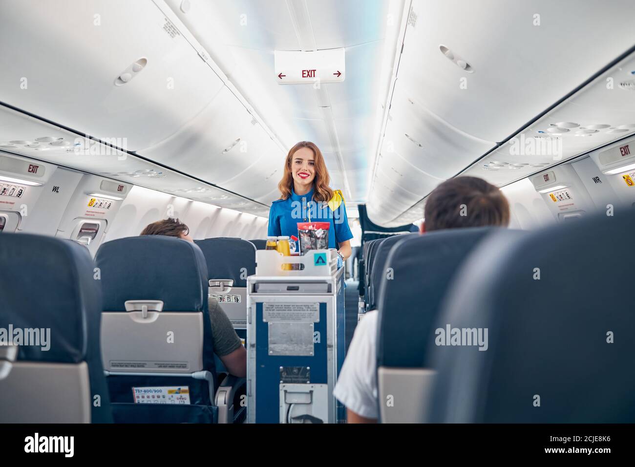 Air stewardess serving food on the board commercial airplane Stock ...