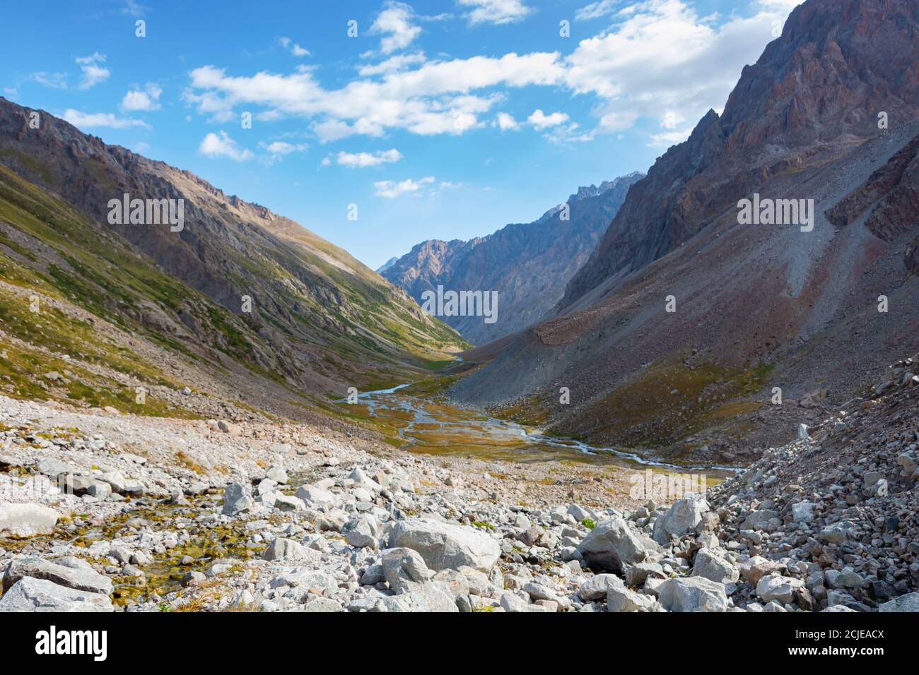 Crooked Forest High Resolution Stock Photography and Images - Alamy
