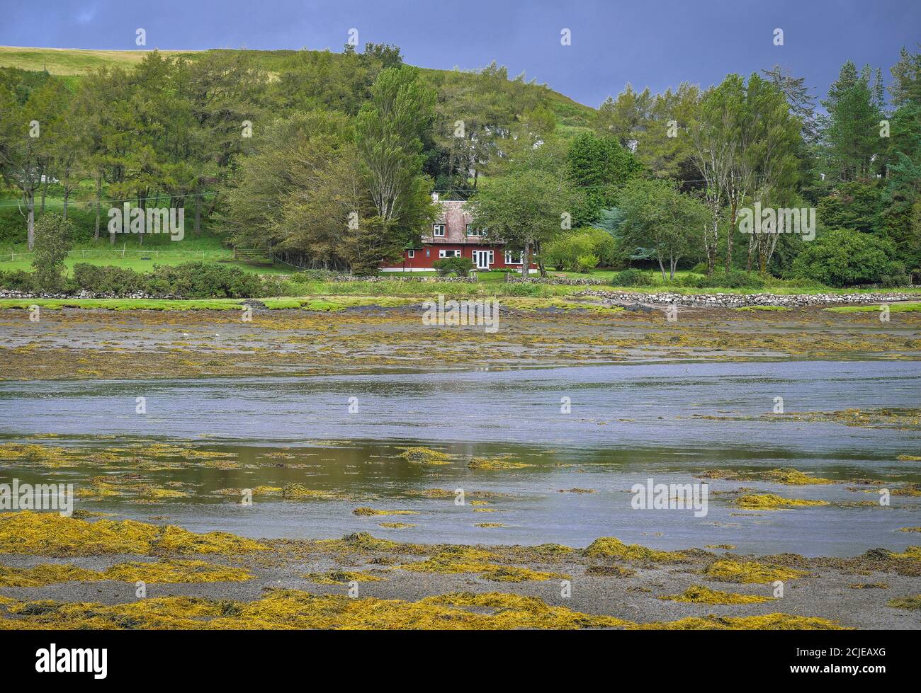 summer in scotland Stock Photo - Alamy