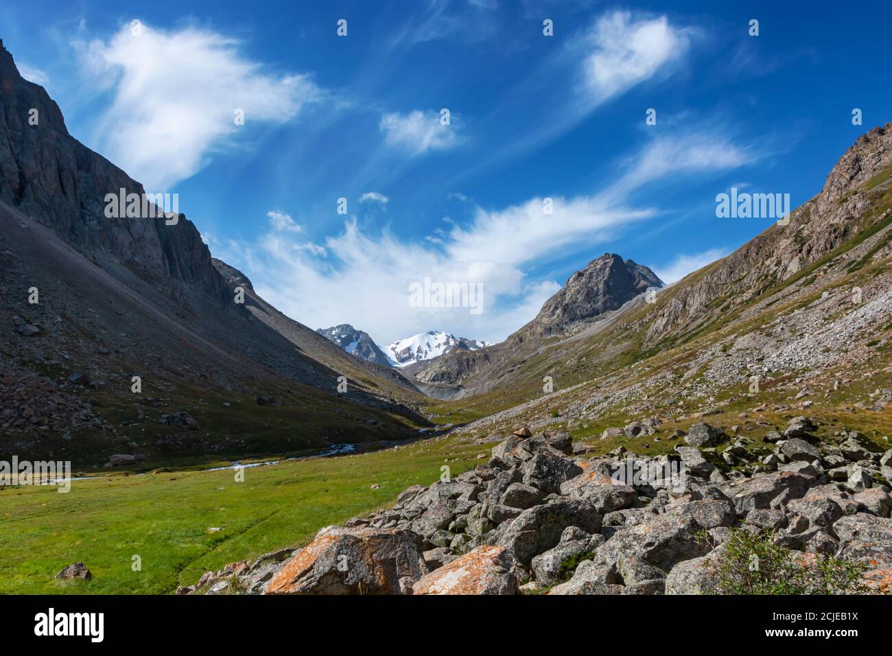 Crooked Forest High Resolution Stock Photography and Images - Alamy