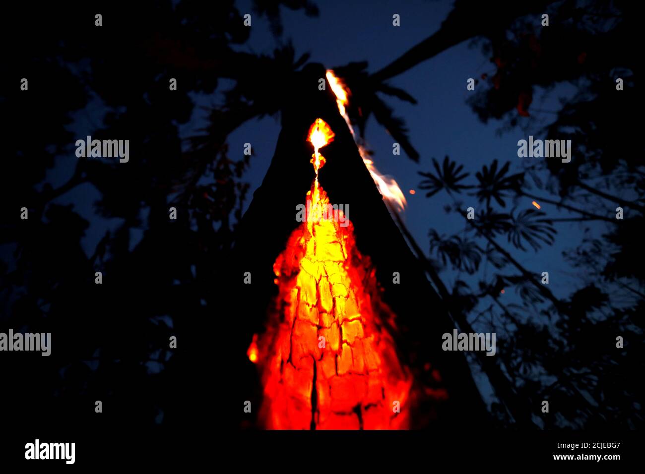 Amazon rainforest brazil 2019 hi-res stock photography and images - Alamy