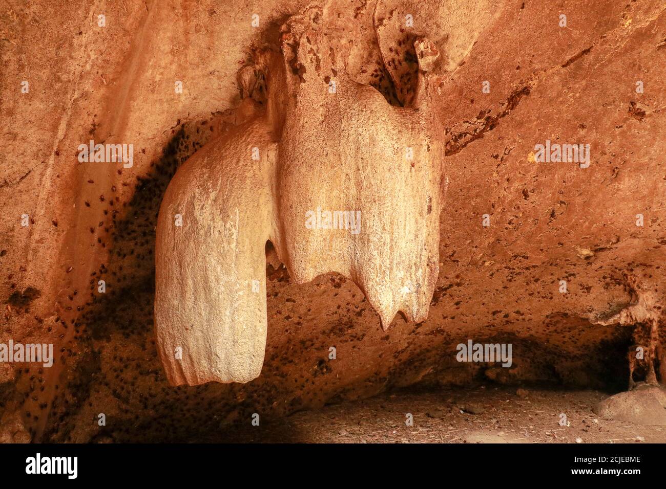 Bangkang cave hi-res stock photography and images - Alamy