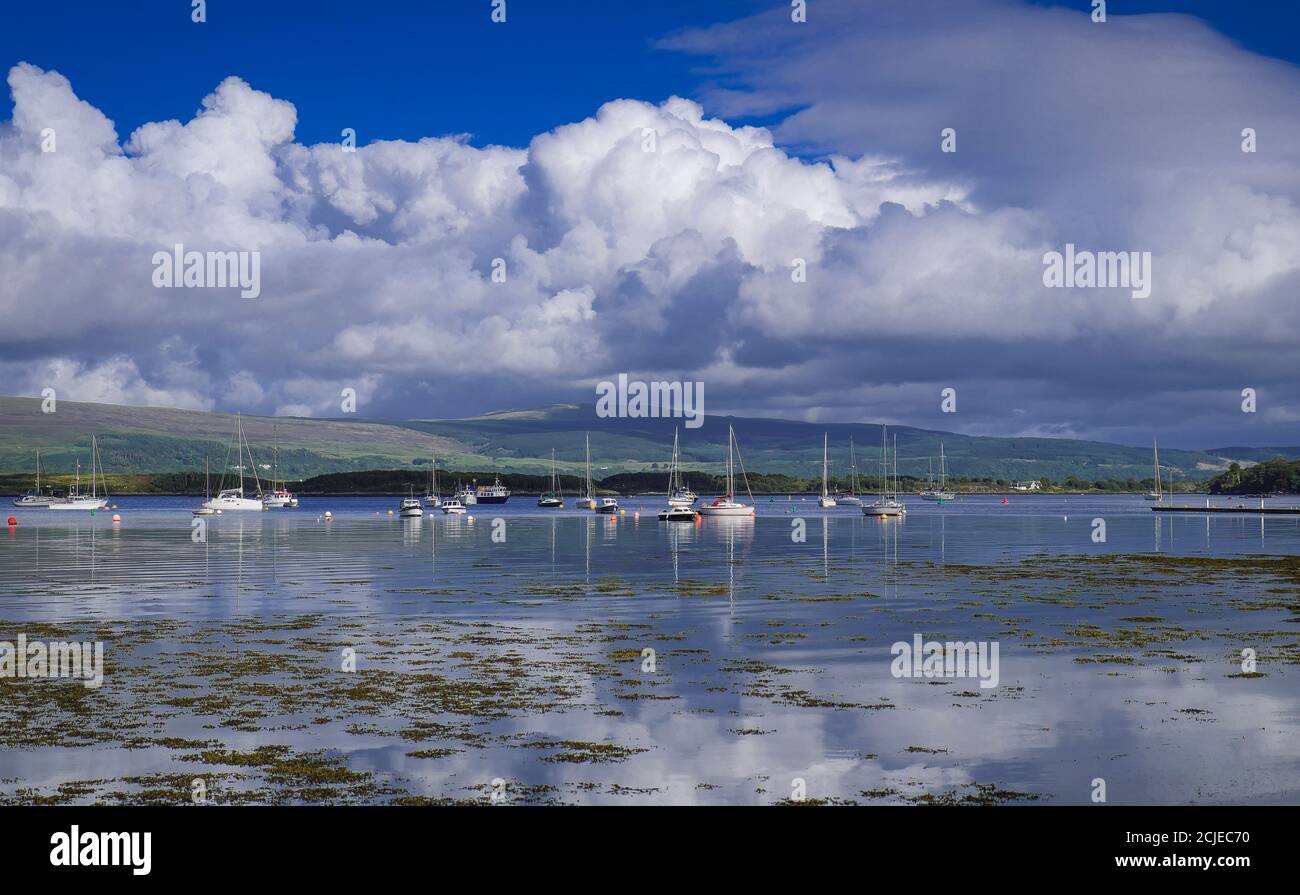 summer in scotland Stock Photo - Alamy