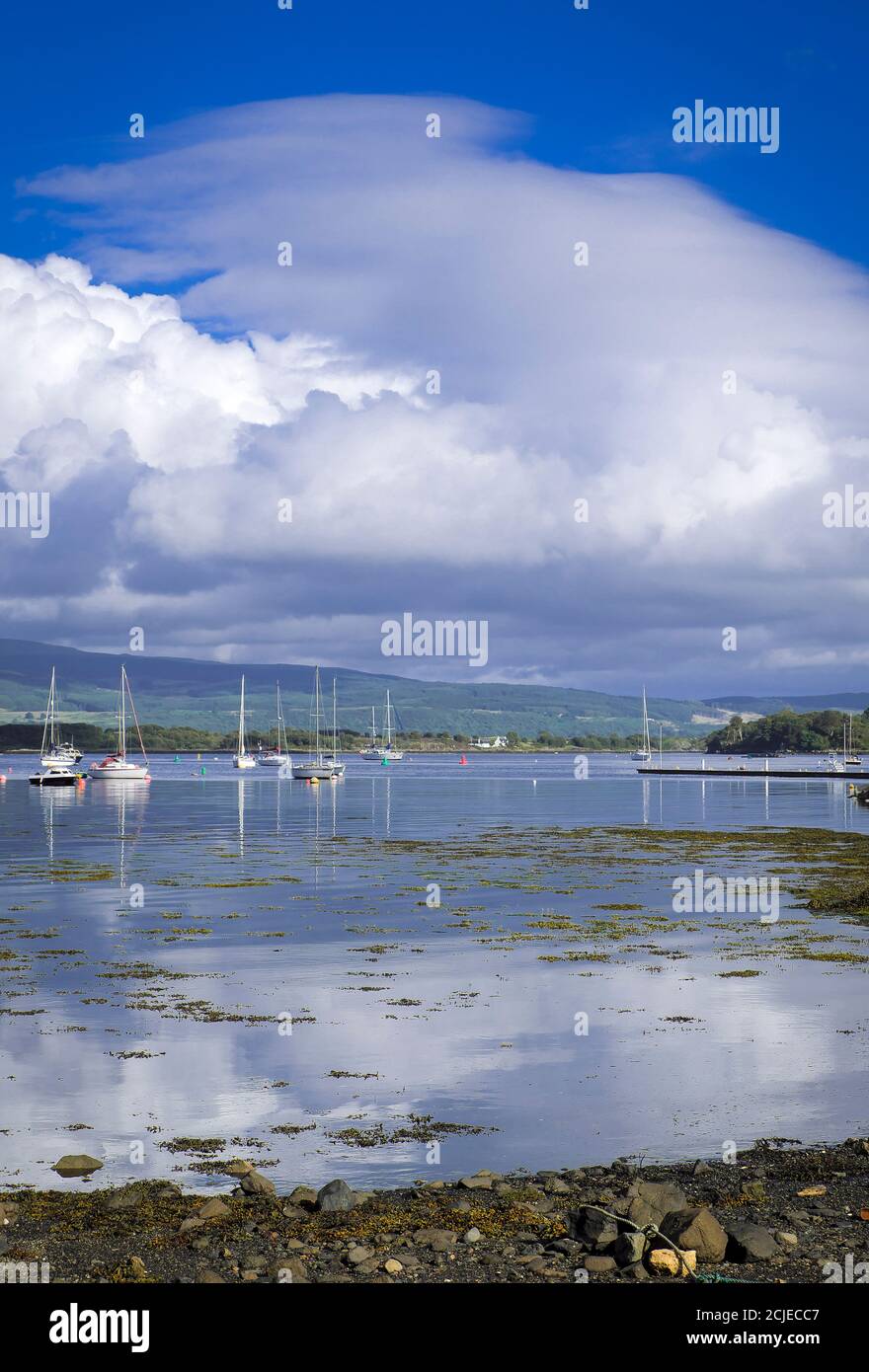 summer in scotland Stock Photo - Alamy
