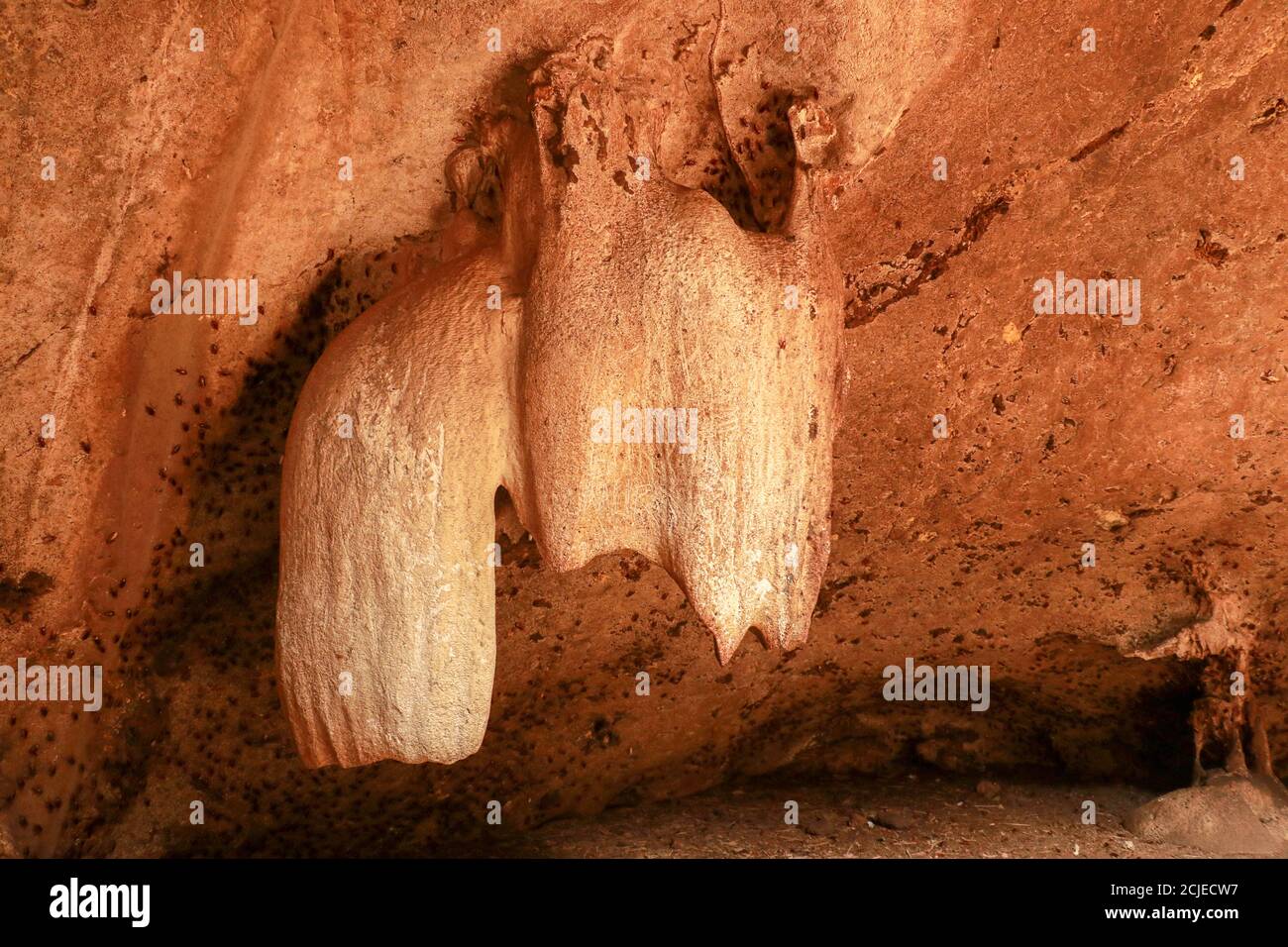 Bangkang cave hi-res stock photography and images - Alamy