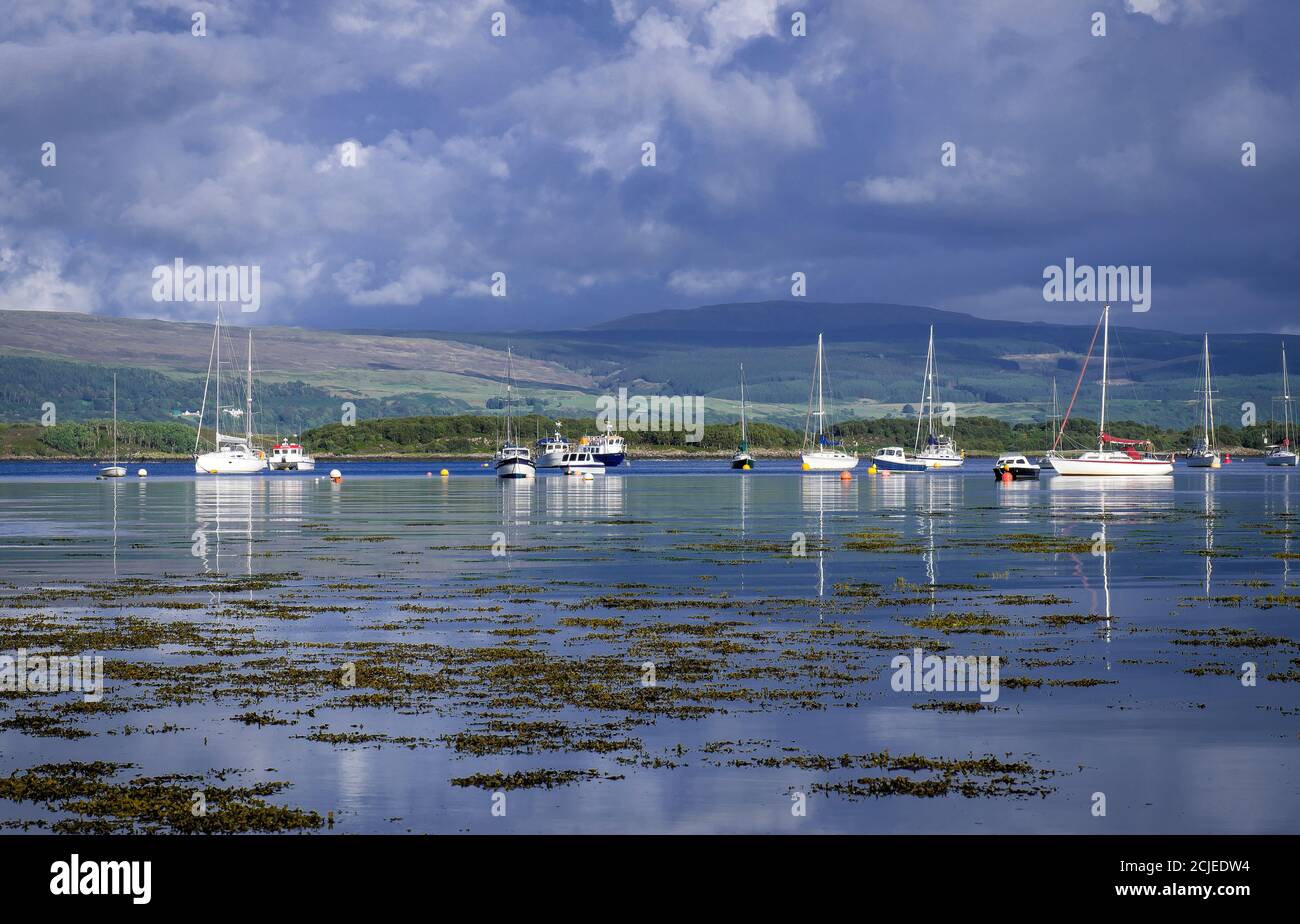 summer in scotland Stock Photo - Alamy
