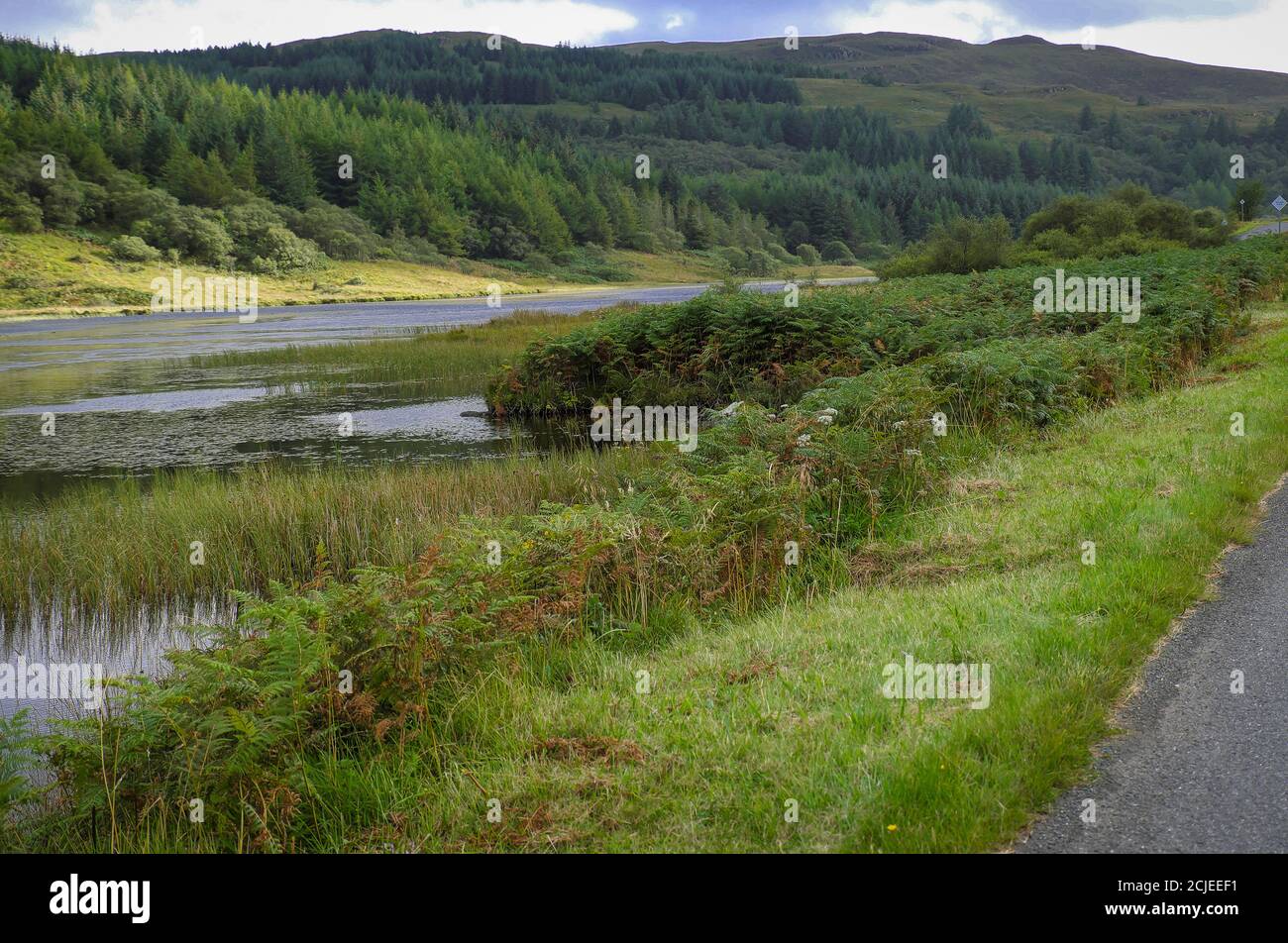summer in scotland Stock Photo - Alamy