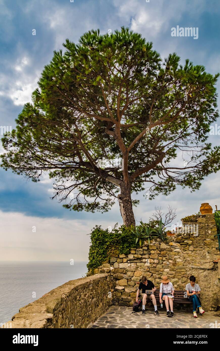 Picturesque view of three tourists sitting on a bench under a beautiful ...