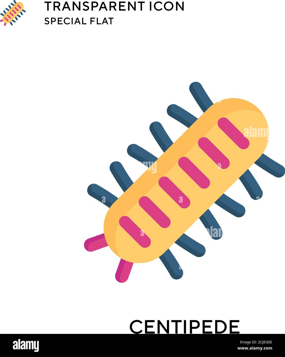 Centipedes vector vectors hi-res stock photography and images - Alamy