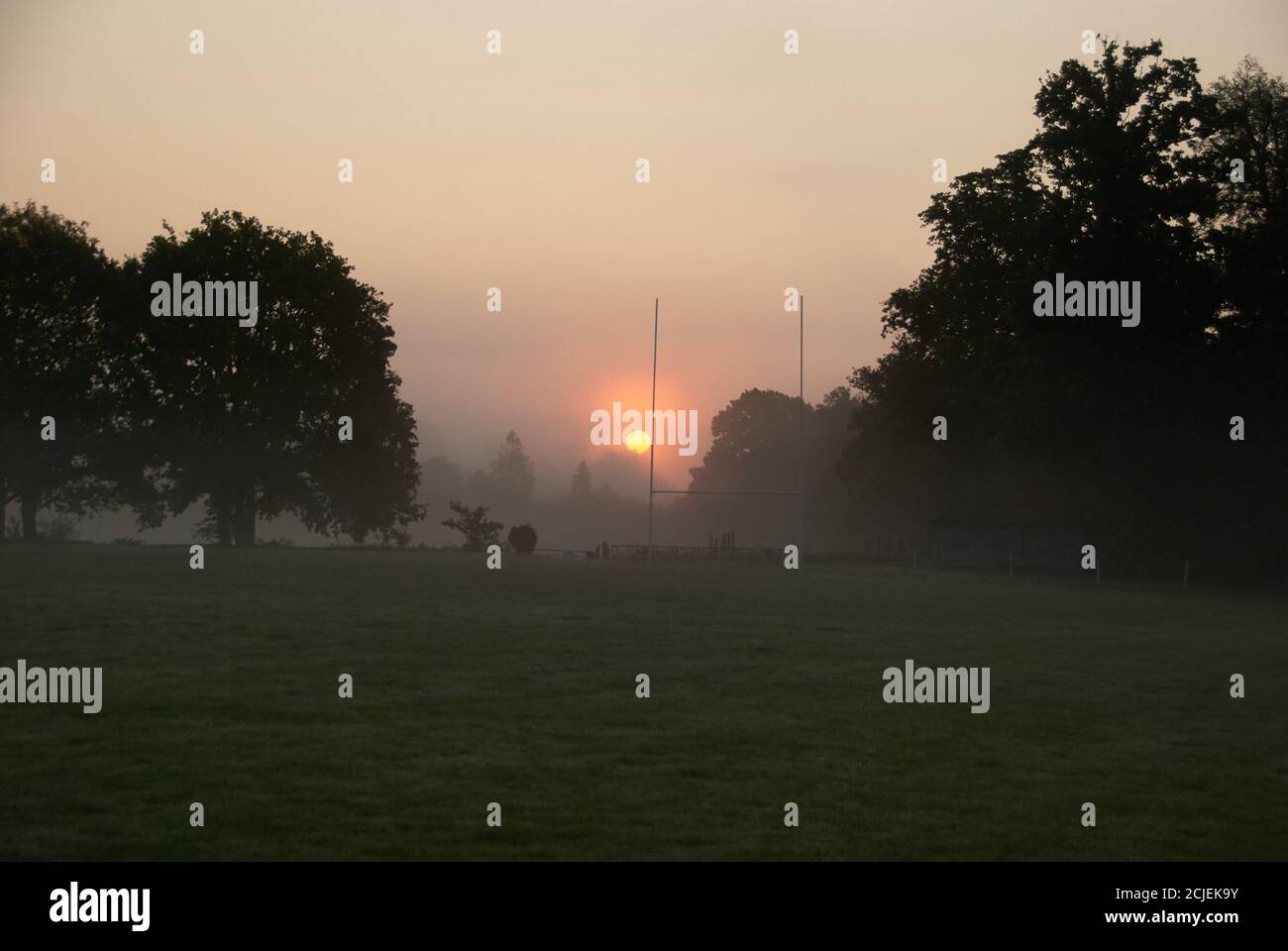 Cowdray Park and Heritage. Parkland around ruins of great Tudor House ...