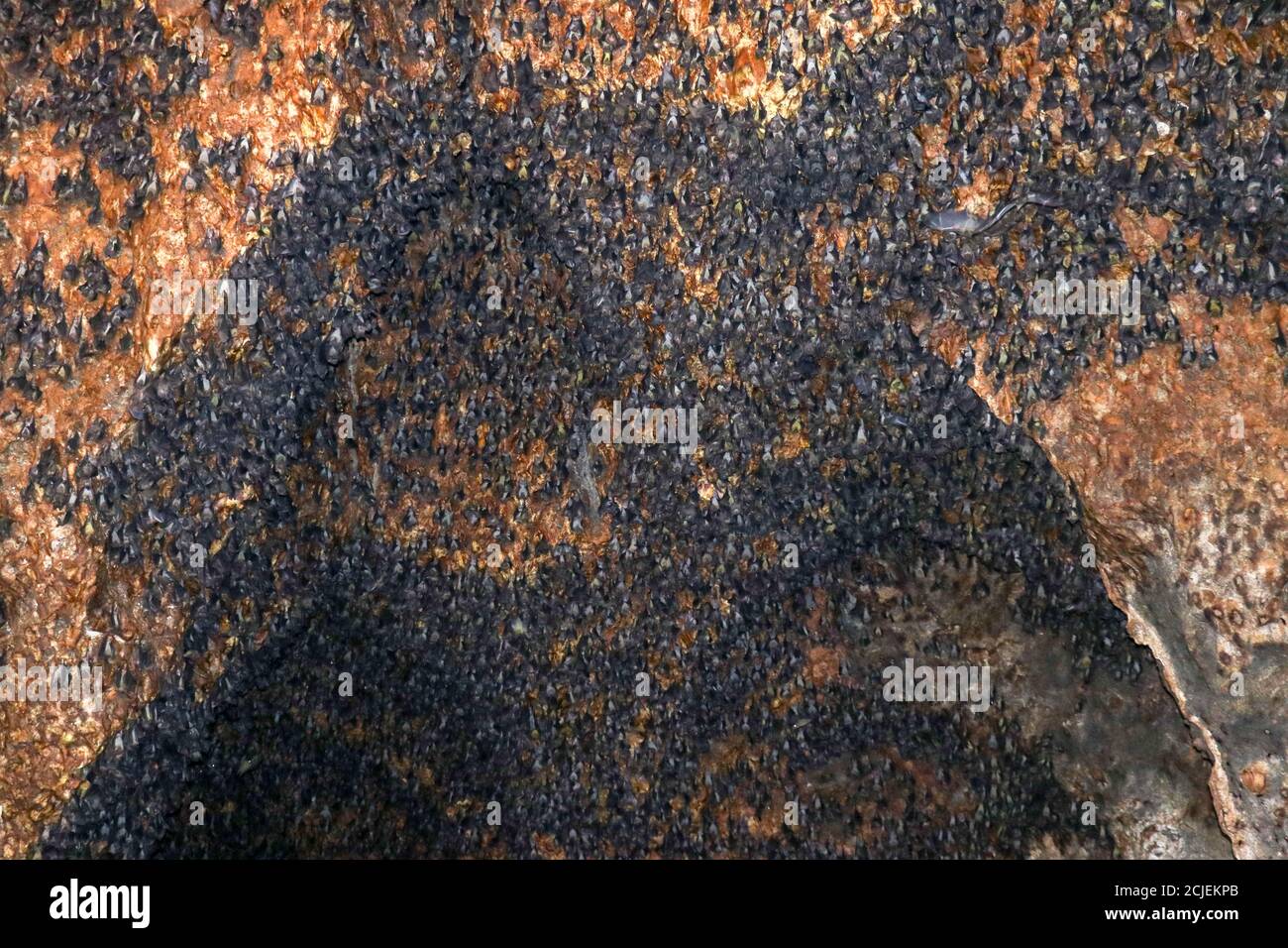 Bangkang cave hi-res stock photography and images - Alamy
