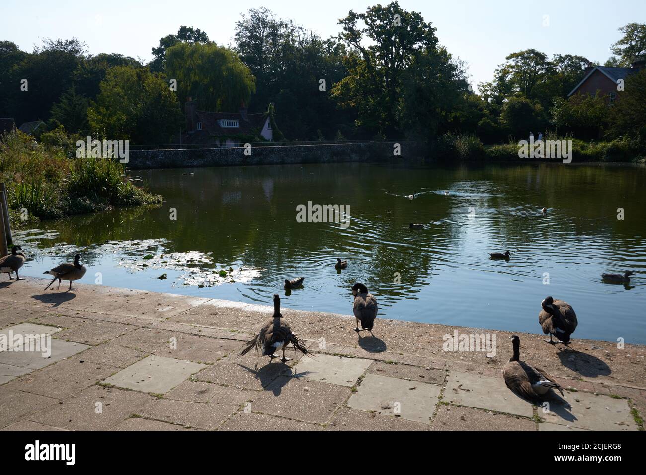 Midhurst town centre pond hi-res stock photography and images - Alamy