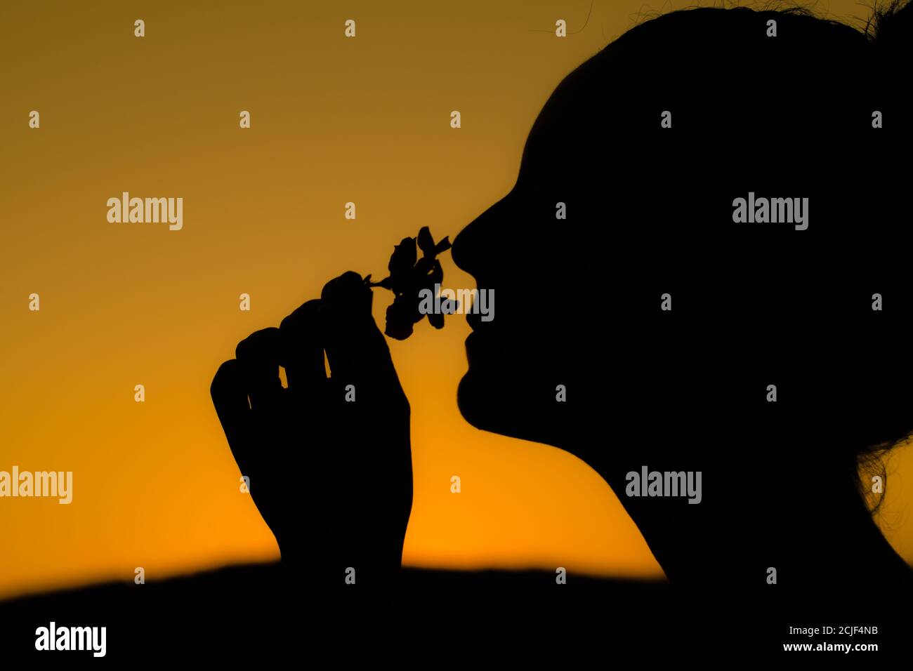 Portrait of a beautiful woman smelling a flower Stock Photo - Alamy