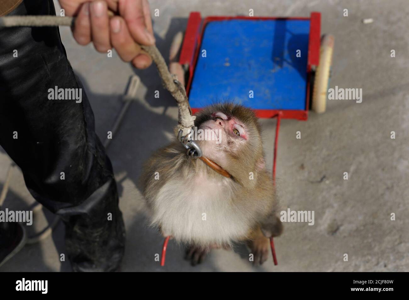 Lunar pull hi-res stock photography and images - Alamy