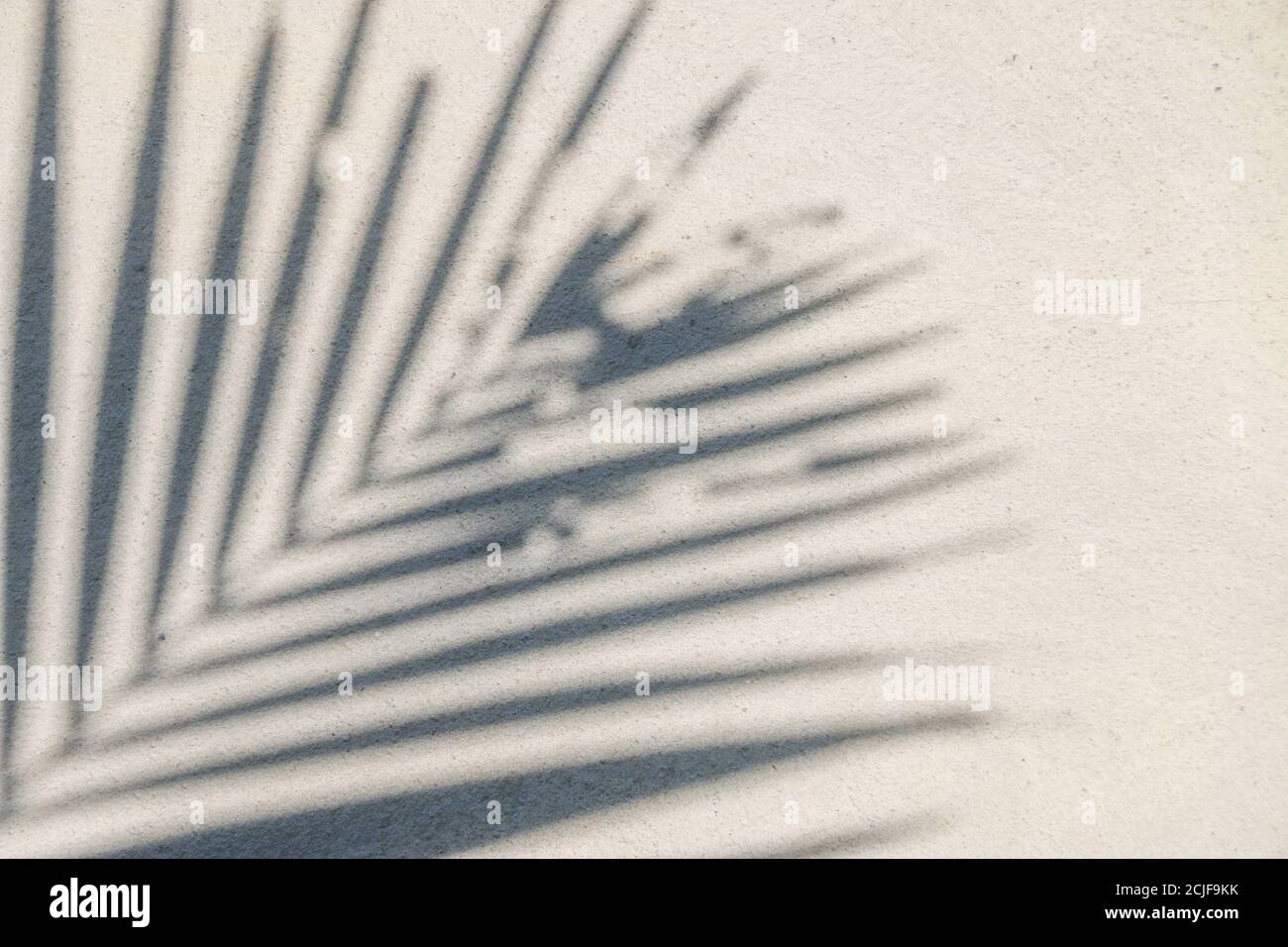 abstract background texture of shadows leaf on a concrete wall Stock ...