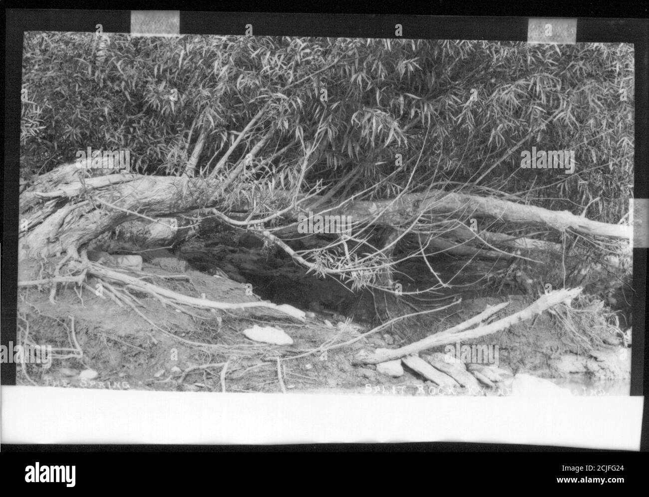 Kentucky in 1940s hi-res stock photography and images - Alamy