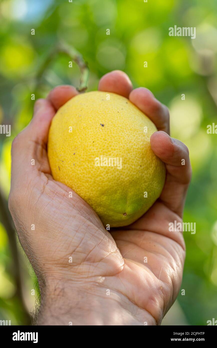 Imperfection imperfect hi-res stock photography and images - Alamy