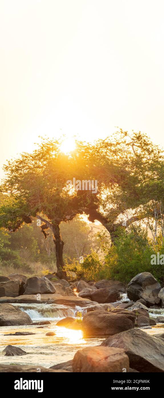 Sun spots river hi-res stock photography and images - Alamy