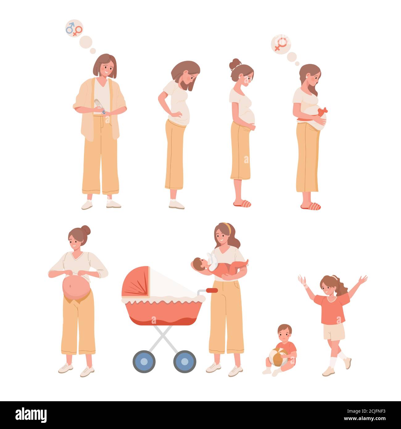 Baby Cycle During Pregnancy