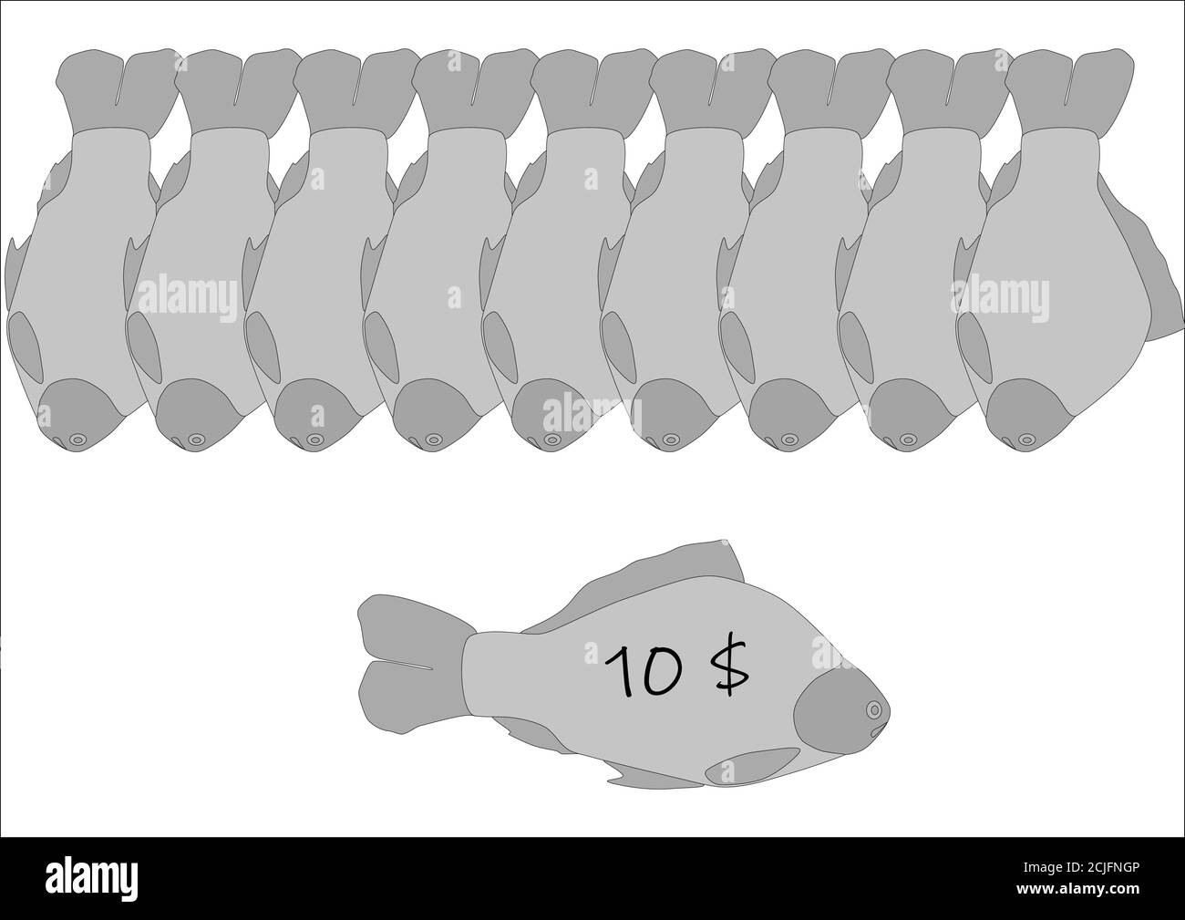 Freshwater fish carp in a shop window Stock Vector Image & Art - Alamy