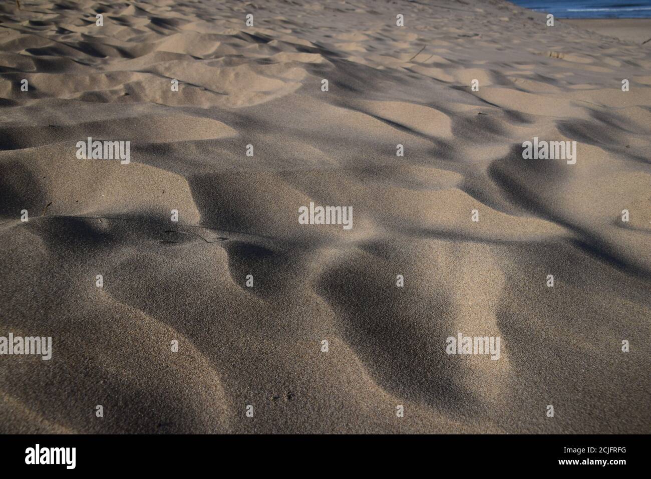 Wind blown sand sculptures within the sand dunes at Formby Merseyside ...
