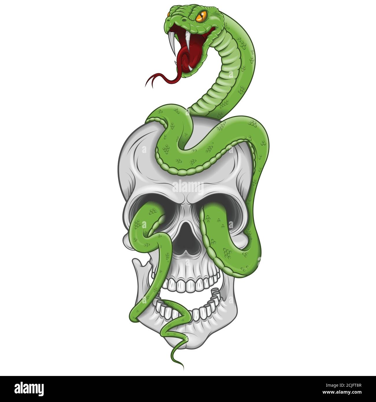 Snakes And Skull Drawings