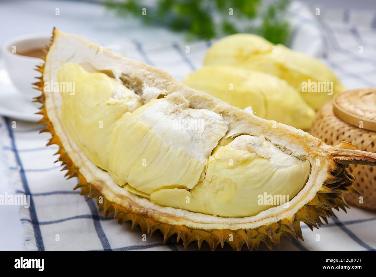Cross section the fruit the durian hi-res stock photography and images ...