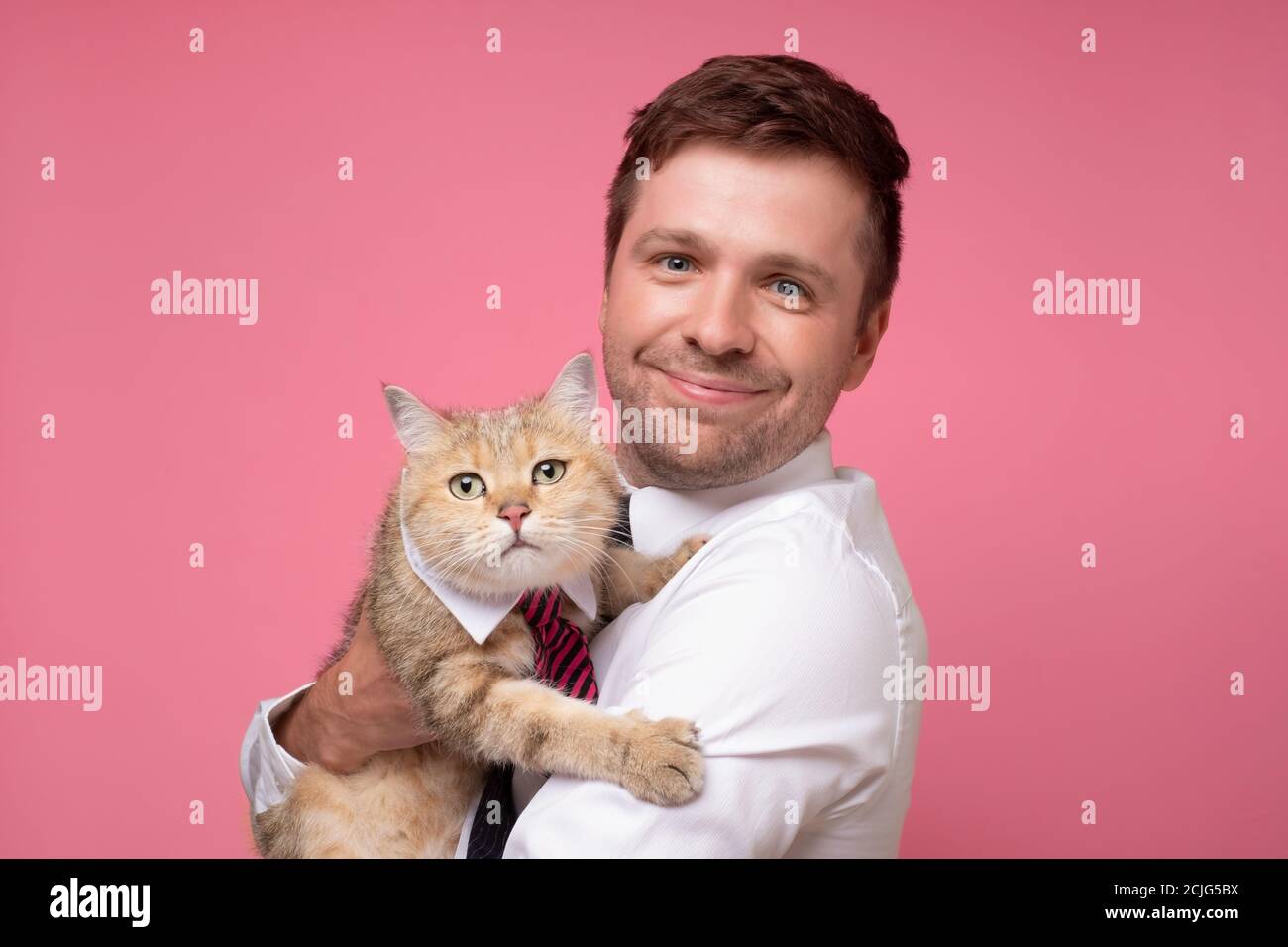 A man with an orange tabby cat isolated on pink background Stock Photo ...