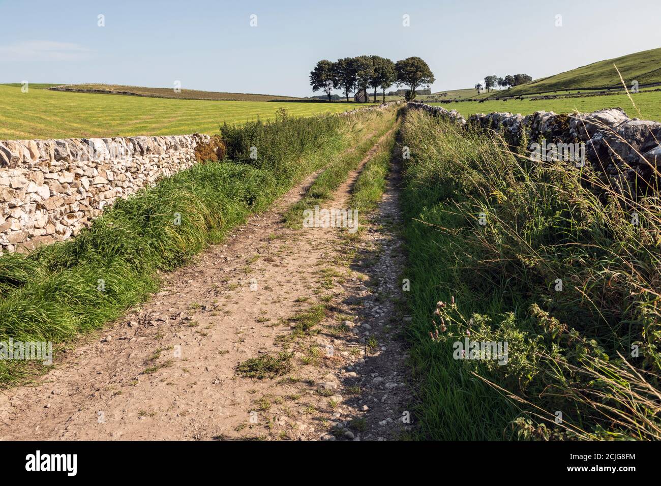 A newly rebuilt section of dry stone wall beside a farm track near ...